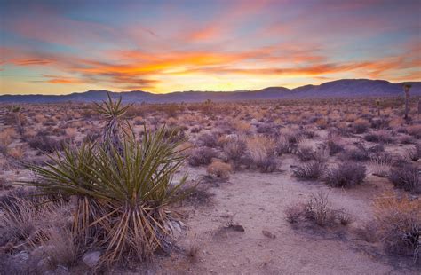 Sunset In The Mojave Desert Sunset Mojave Desert Califor Flickr