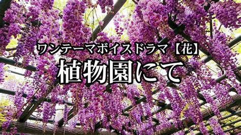 こひら みかん🍊みかん畑の落とし物 On Twitter なるらんどさん企画 ワンテーマボイスドラマ【花】参加作品 『植物園にて』 これ