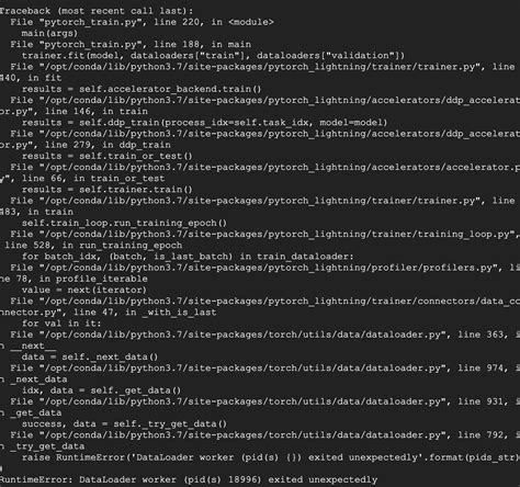 Segmentation Fault When Training D CNN Using GPUs With Batch Size Issue Lightning