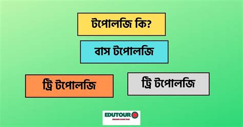 টপোলজি কি বাস টপোলজি ট্রি টপোলজি রিং টপোলজি What Is Topology