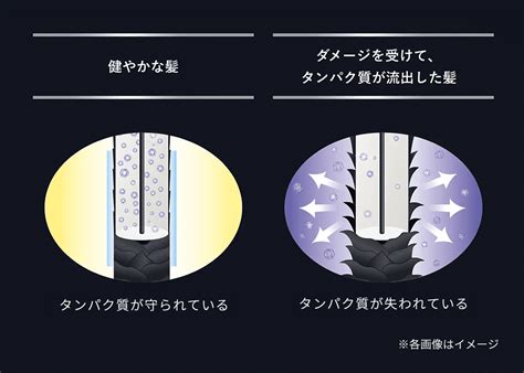 Nexxus ネクサス インテンスダメージリペア トリートメント 440g 本体×2本 ためせる｜vポイントが貯まる・使える Vサンプル