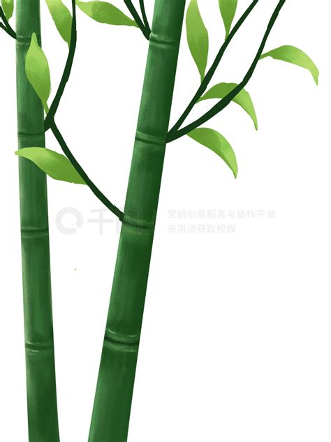 卡通免抠元素 原创手绘卡通植物竹免抠素材 素材免费下载 3072像素 Psd格式 编号44426513 千图网