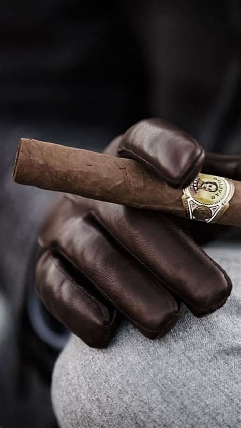 Pin On Pins By You In 2024 Cigars And Whiskey Cigars Gentleman