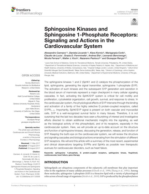 Pdf Sphingosine Kinases And Sphingosine 1 Phosphate Receptors