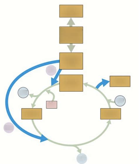 Which Biological Process Is Represented In The Diagram Below
