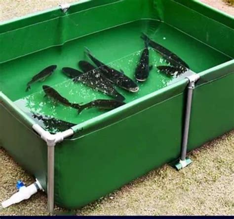 Pvc Biofloc Fish Farming Installation Tank Service Packaging Type Box
