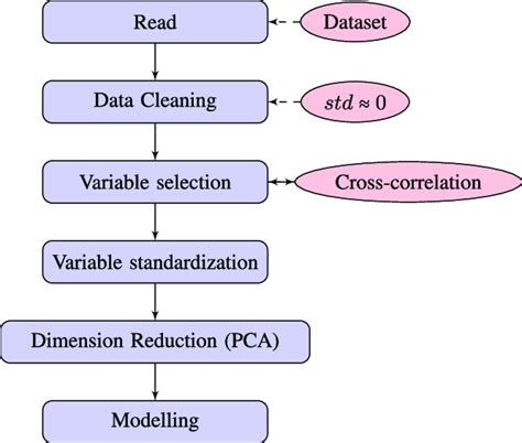 Preprocessing Methodology Download Scientific Diagram
