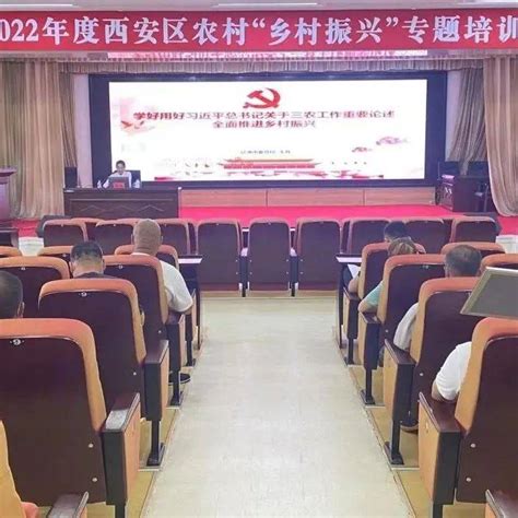 西安区召开2022年度农村“乡村振兴”专题培训班习近平提升村余人