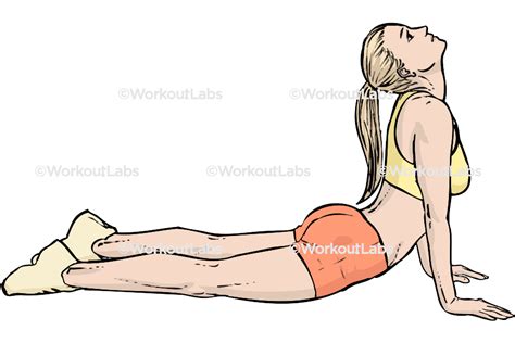 The Cobra Exercise