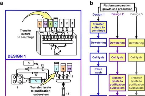 Designing A Space Bioprocessing System To Produce Recombinant Proteins