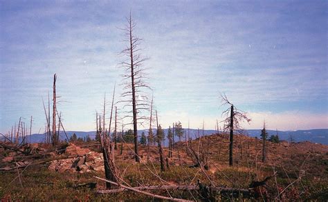 Desolate Wasteland Free Photo Rawpixel