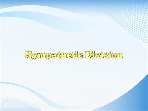 Sympathetic Division Definition And Meaning