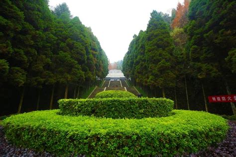 如果不曾到過井岡一 每日頭條