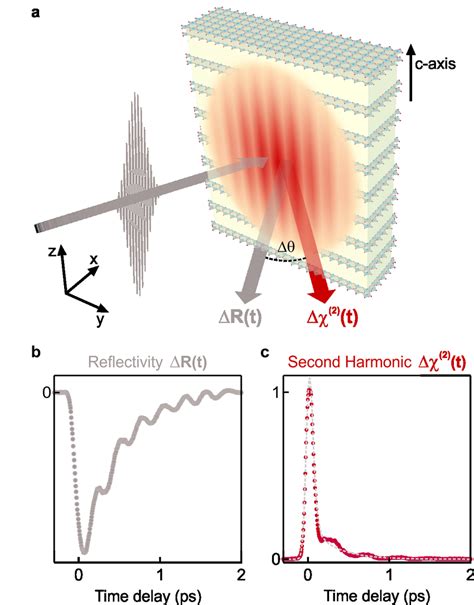 EXPERIMENT Optical Probe Geometry And Time Resolved Changes A Download Scientific Diagram