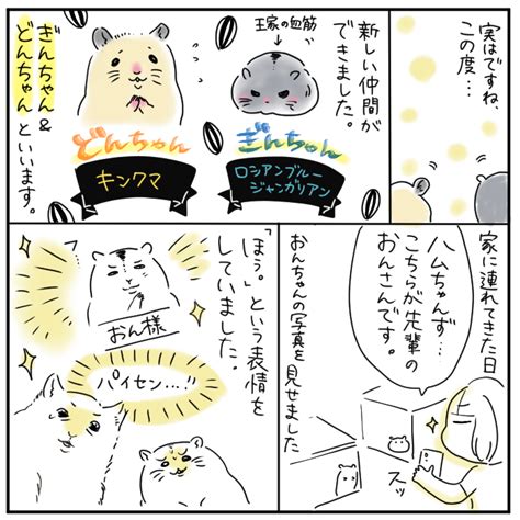 「実は先日より新しい仲間をお迎えしました。ぎんちゃんとどんちゃんです。全然性格が違う二人かわいい 」百田ちなこの漫画