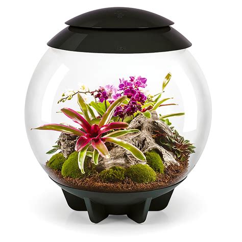 Oase - biOrb Air 60 - black | Aquasabi - Aquascaping Shop