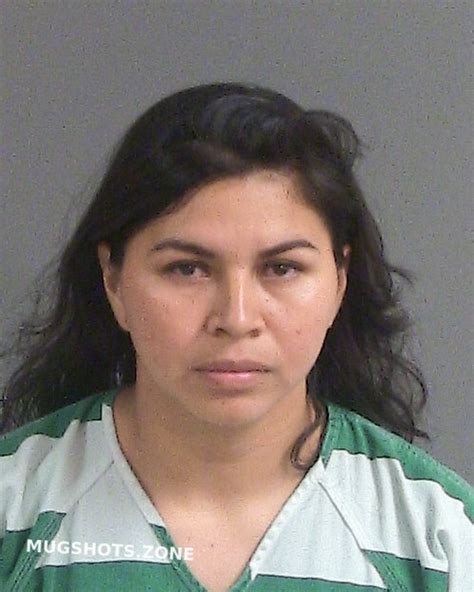Milla Diaz Yoselin 06 22 2025 Charleston County Mugshots Zone