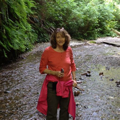 Ann M Prewitt Licensed Psychologist Ann M Prewitt Edd Linkedin
