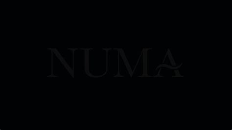 About Numa Numa