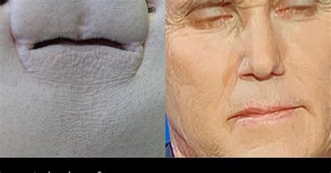 Underside Of A Stingray Album On Imgur