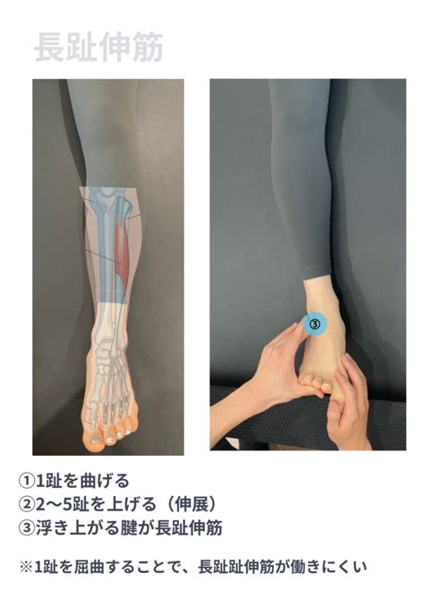 N Pilates Education