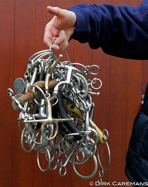 Fei Launches Tack App As Go To Destination For All Pieces Of Tack And Equipment