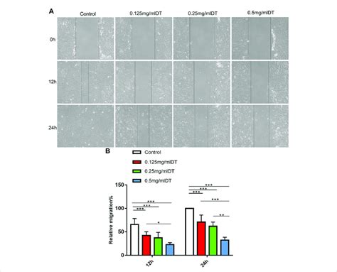 Cell Migration A Wound Healing Assay Was Used To Analyze The Ability