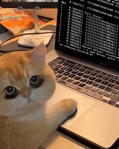 End Kernel Panic Rlinuxmemes