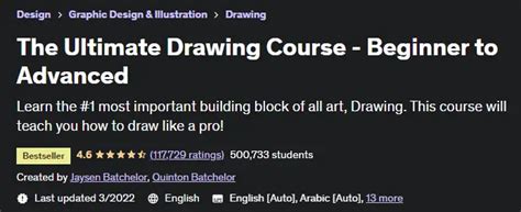 Best Udemy Courses 2025