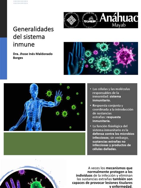 Generalidades Del Sist Inmune Pdf Sistema Inmune Sistema Inmune