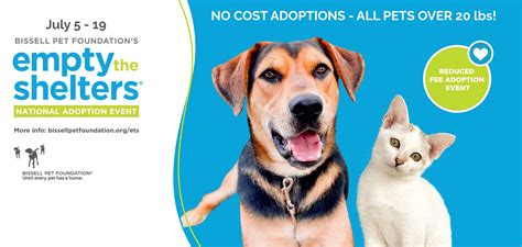 Friends Of Dogs At Guadalupe County Animal Control Safe With Save