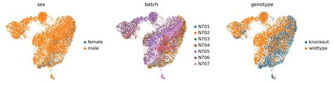Hands On Filter Plot And Explore Single Cell Rna Seq Data With Scanpy Python Filter Plot