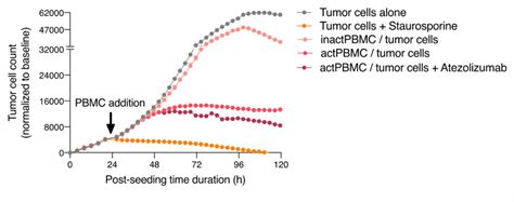 T Cell Activation And Immune Checkpoint Inhibition Killing Assays I Cro