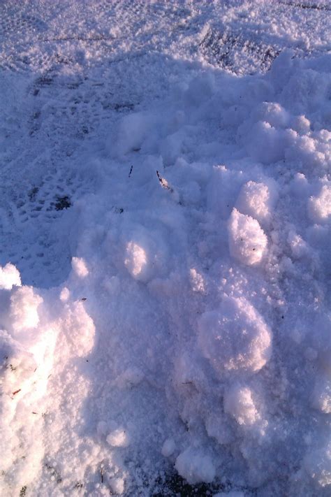 Frau Frieda Ein Winter Elfchen