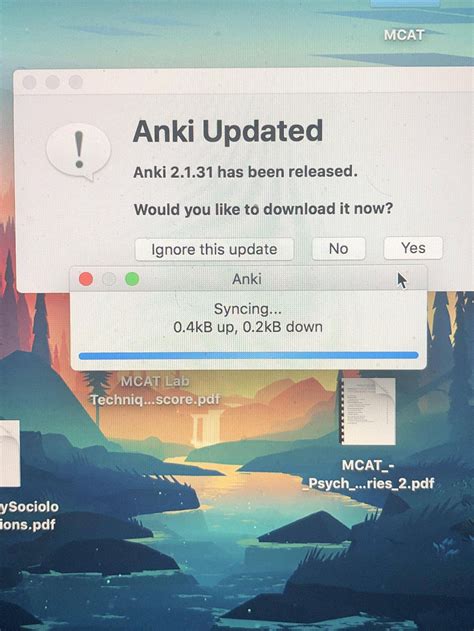 Trying To Open Anki But This Is All I Get Ranki