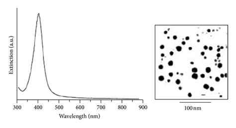Sers Active Colloidal Silver Particles In Different Aggregation Stages Download Scientific