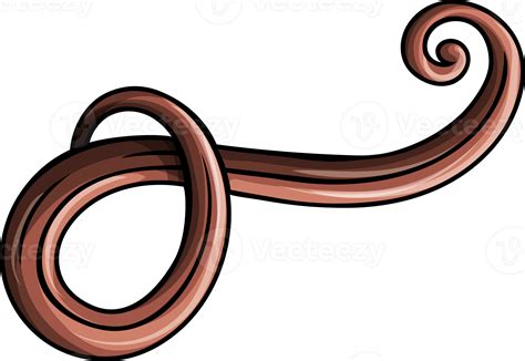 Cartoon Decorative Curl 38453354 Png