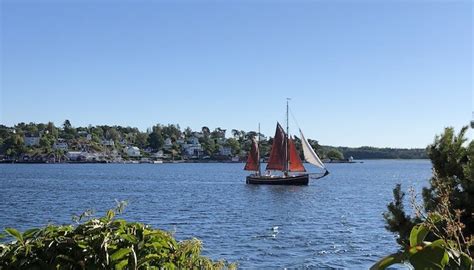 Sommarläs Bioenergi som e tidning Bioenergitidningen