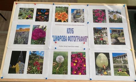 Клуб „Цифрова фотография“ Професионална гимназия по селско стопанство Нова Загора