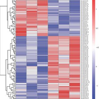Hierarchical Cluster Analysis Of Differentially Expressed MiRNAs