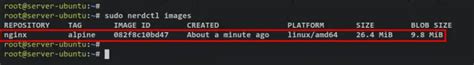 How To Install Containerd Container Runtime On Ubuntu 2204