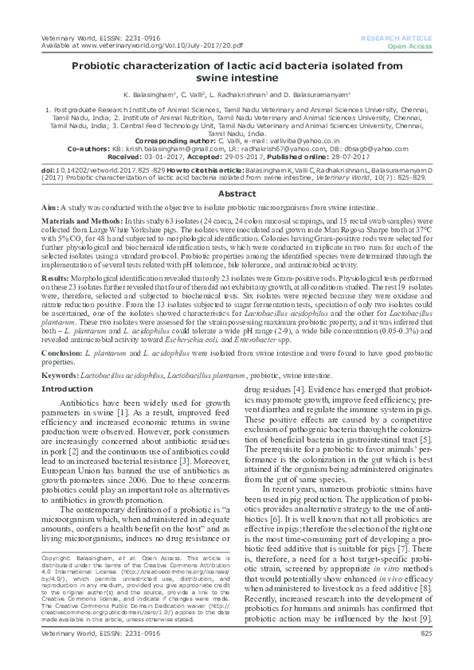 Pdf Probiotic Characterization Of Lactic Acid Bacteria Isolated From