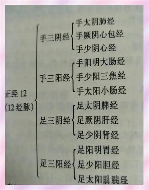 人体经络：12正经与任督二脉全解析