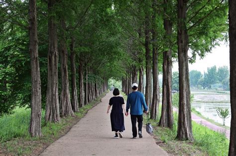 충남 가볼 만한 곳 공주 여행을 한다면 꼭 가봐야 할 당일치기 코스 ̗̀ ♡ˎˊ 대전 근교 커플 데이트로 좋아요