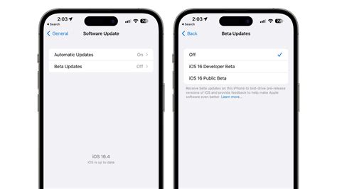 Ios 164 And Ipados 164 Let Developers And Public Beta Testers Opt In