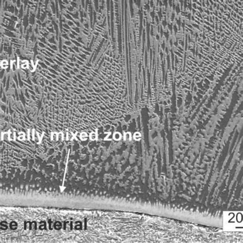 Microstructure Of The Weld Overlay Near The Fusion Boundary Sem