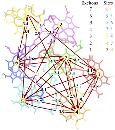 the fenna matthews olson protein complex and its susceptiblities of the