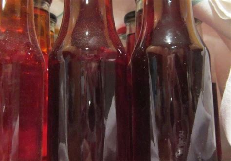 Cola-Sirup Rezept - ichkoche.at