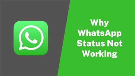 6 Methods To Fix WhatsApp Status Not Showing