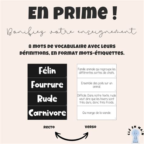 Lynx Du Canada Texte Informatif